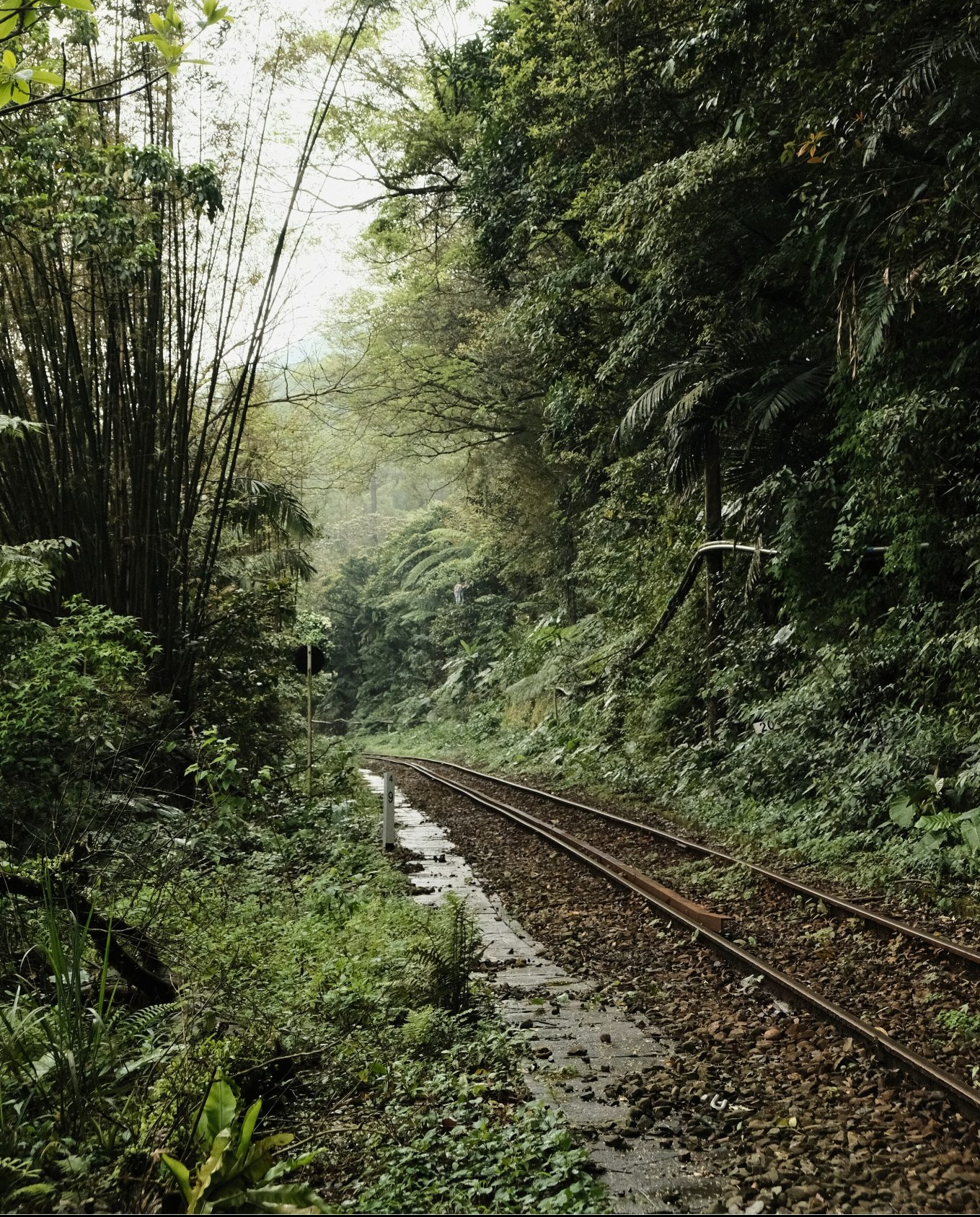 Castle Rock and The Body – Exploring Stephen King's Maine